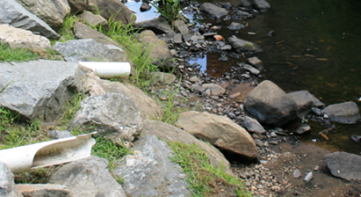 MS4 Guide | CT NEMO Program