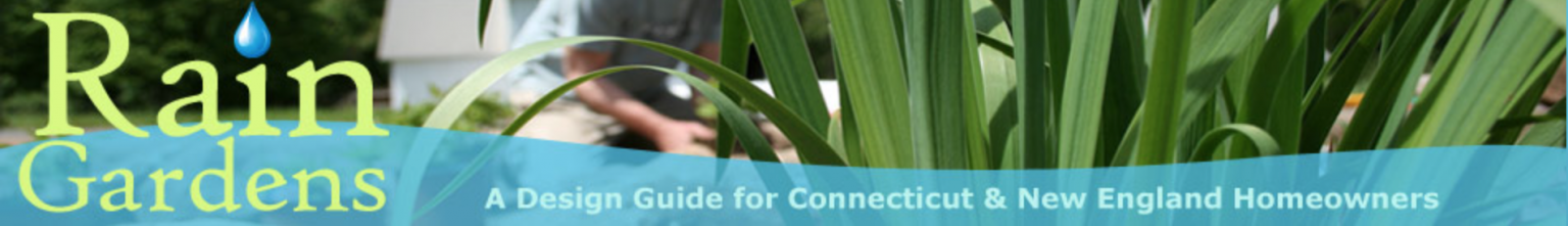 Rain Gardens | CT NEMO Program