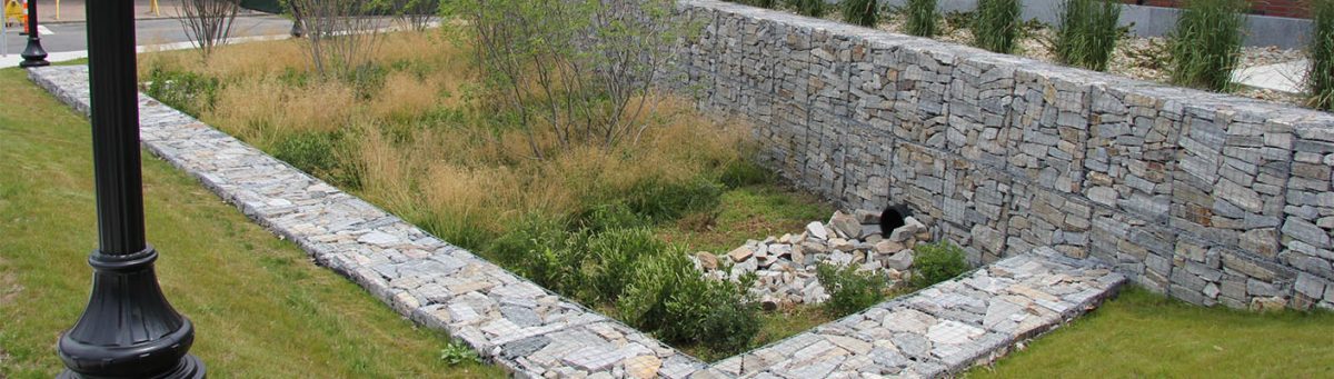 Rain Gardens | CT NEMO Program