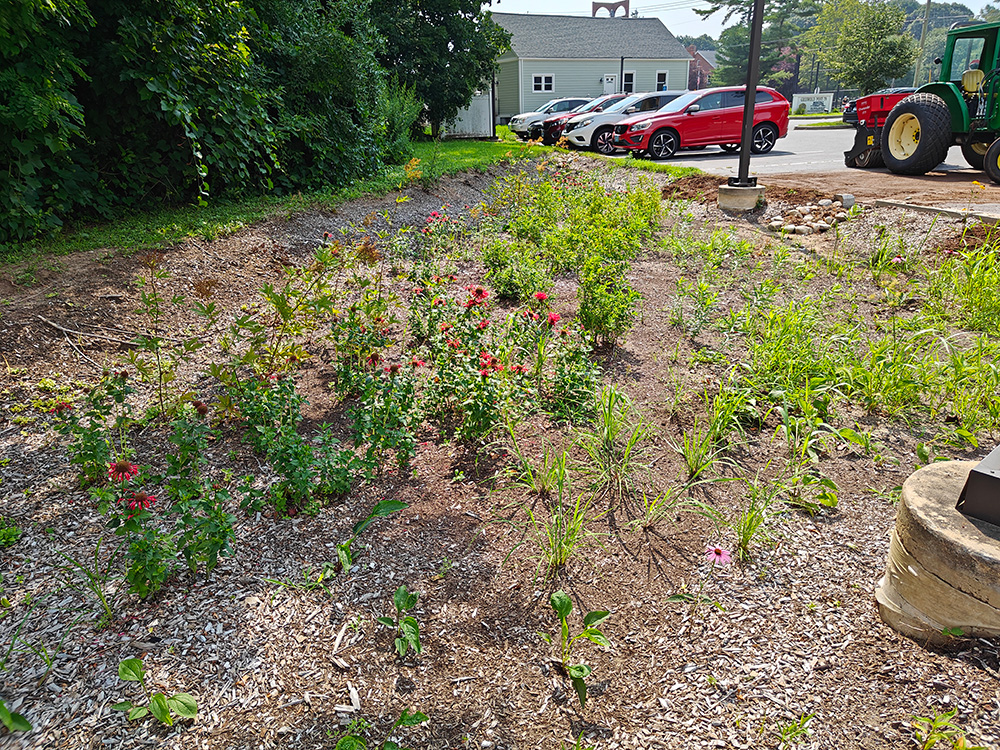 Madison | CT NEMO Program